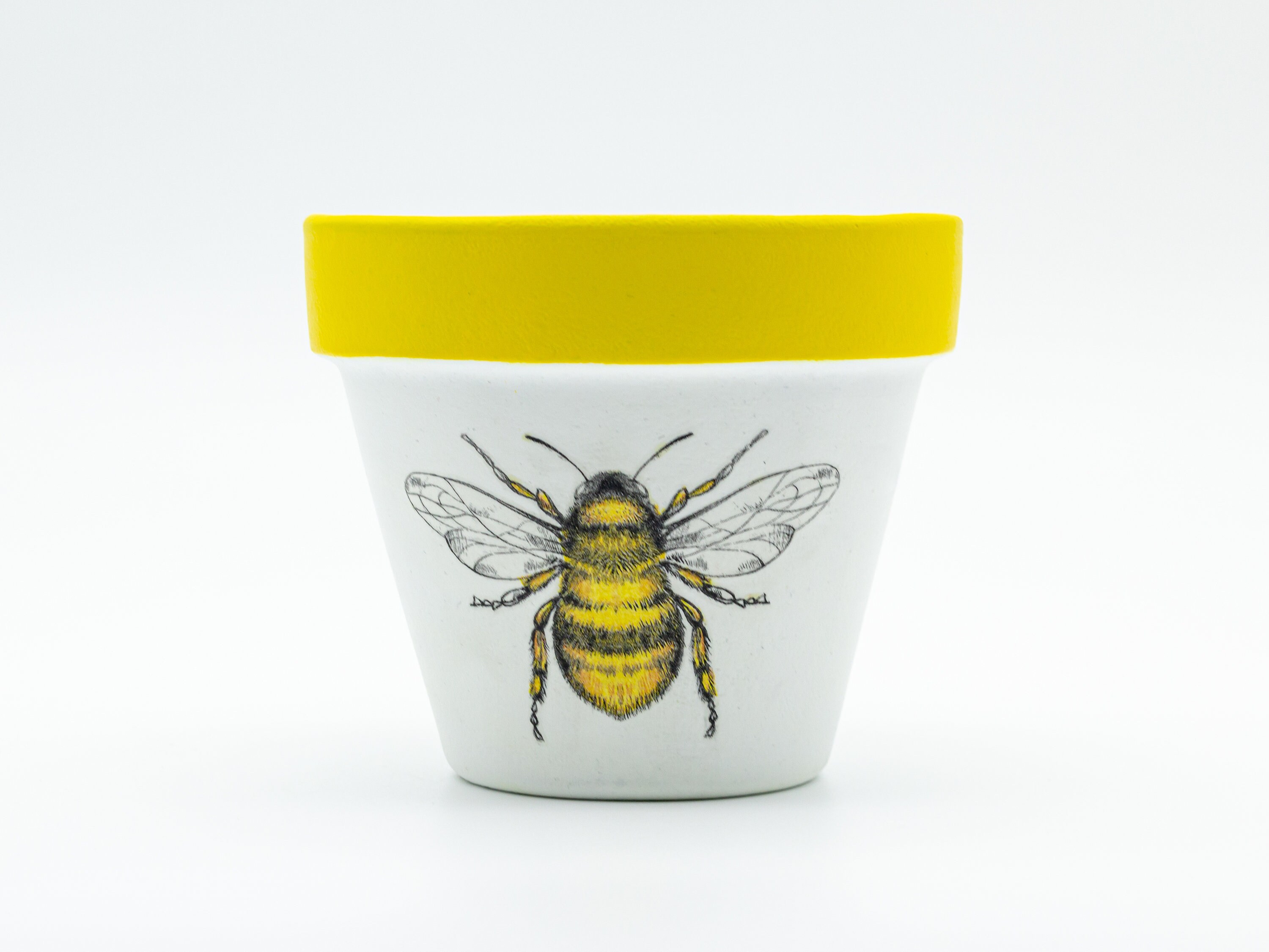 Pot Planter. Bee Plant Pot, Bumble Bee Flower Pot. Indoor Plant Pot ...