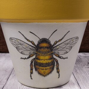 Pot planter. Bee plant pot bumble bee flower pot. Indoor | Etsy
