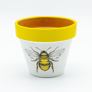 Pot Planter. Bee Plant Pot, Bumble Bee Flower Pot. Indoor Plant Pot ...