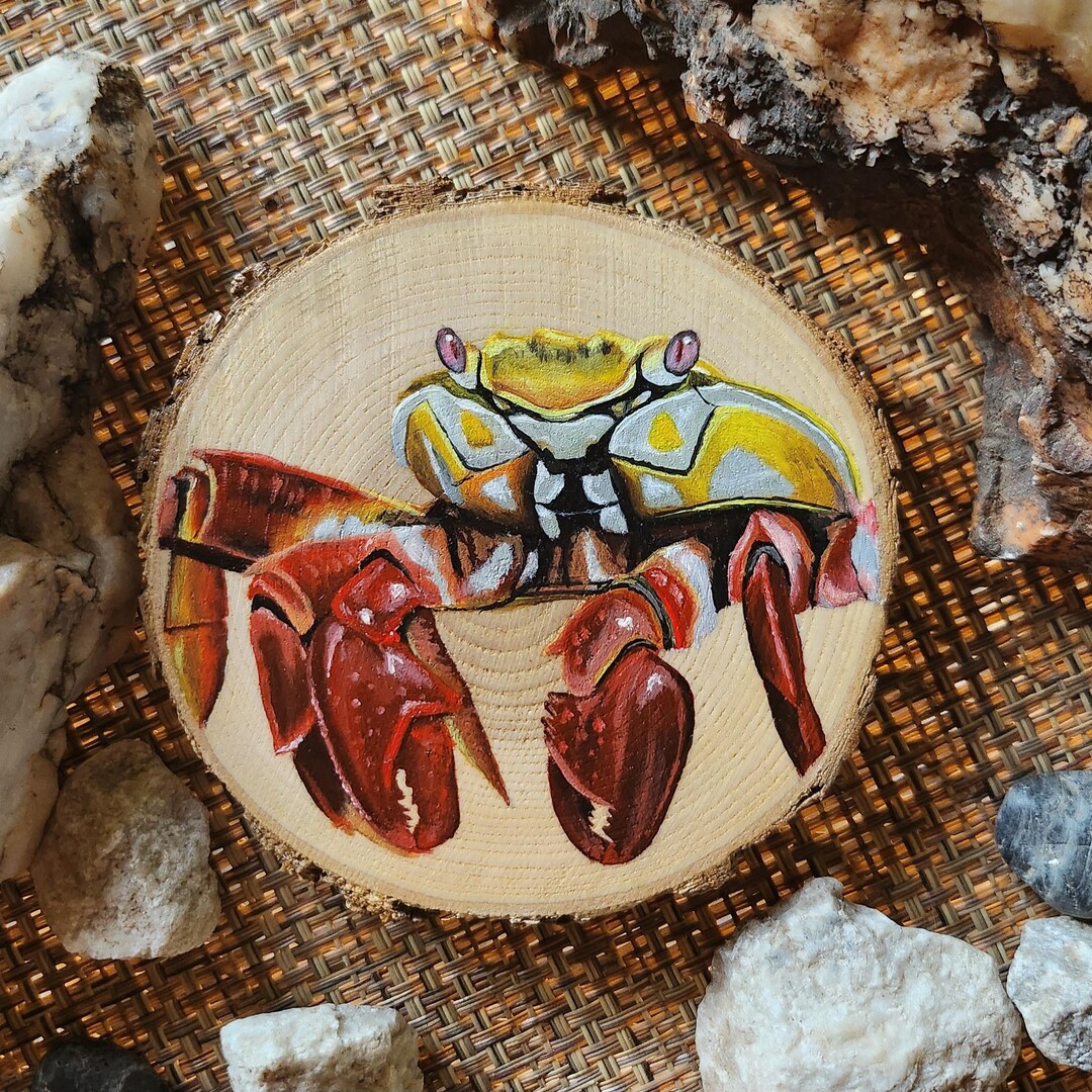 Sally Lightfoot Crab Oil Painting on Ash Wood Slice, Ocean Wall Art ...
