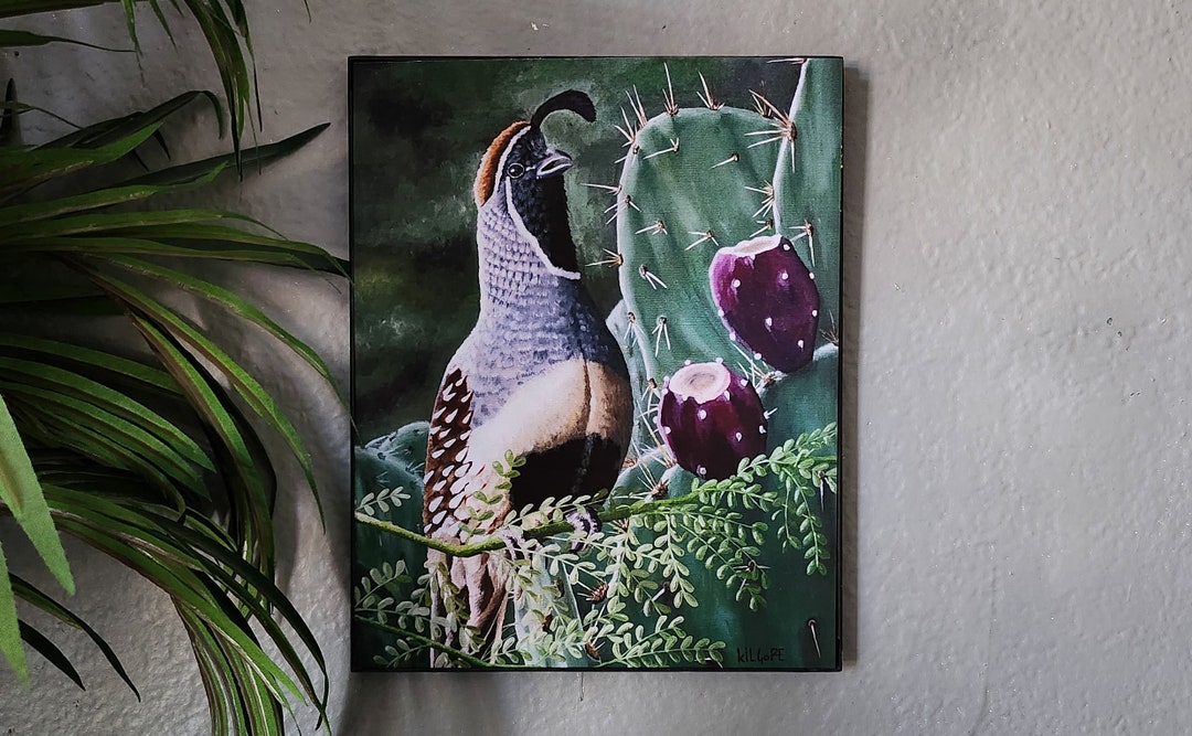 Gambel's Quail on Prickly Pear Cactus Fine Art Print by Kilgore ...