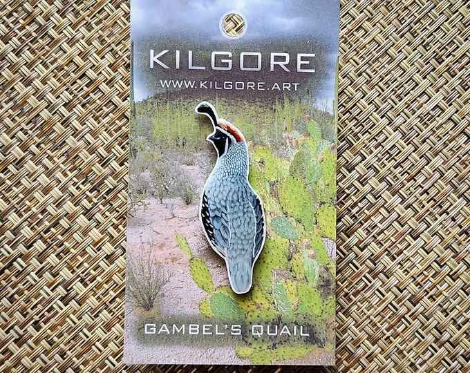 Quail Sticker Gambel Quail Southwestern Bird Stickers Cute - Etsy