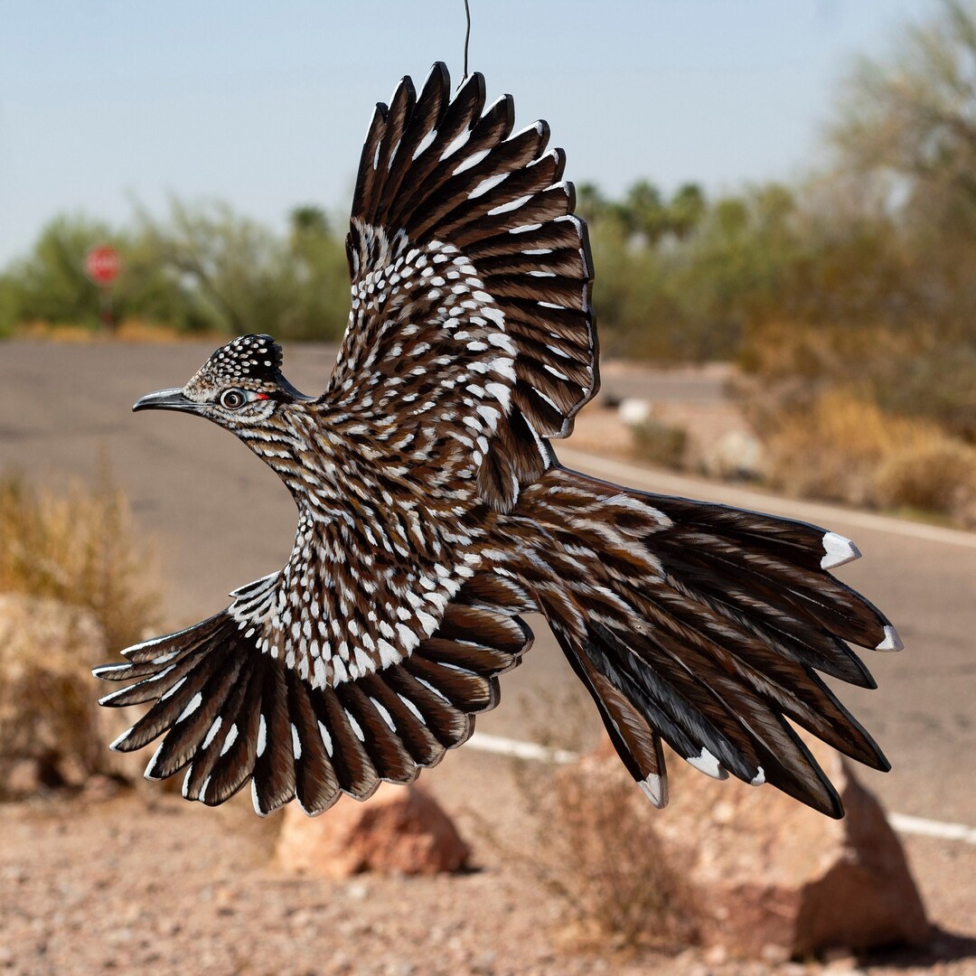 Flying Roadrunner Wooden Wall Art, Handmade, Painted Roadrunner on Wood ...