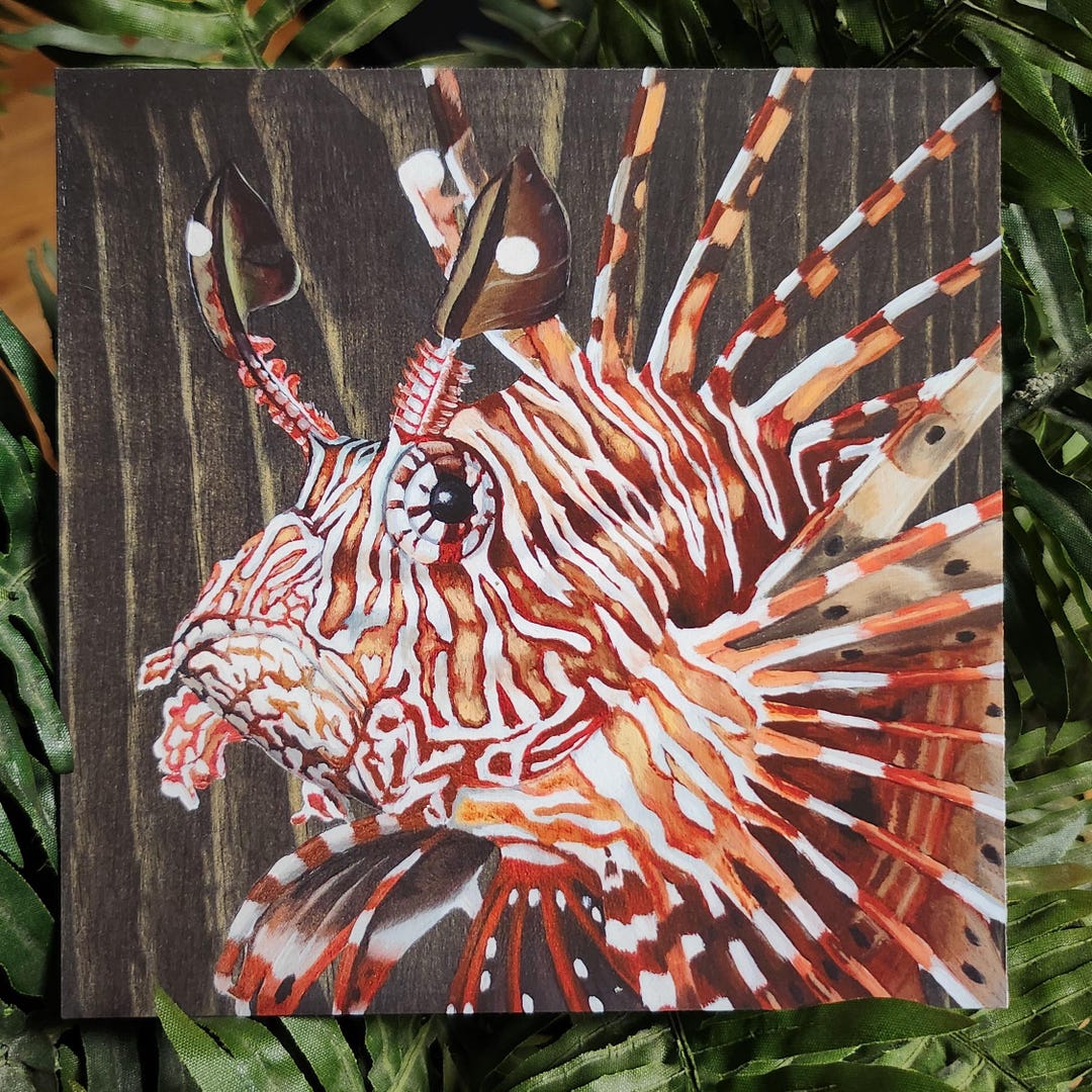 Lionfish - Limited Edition Fine Art Print - 6" X 6" - by Kilgore - Etsy