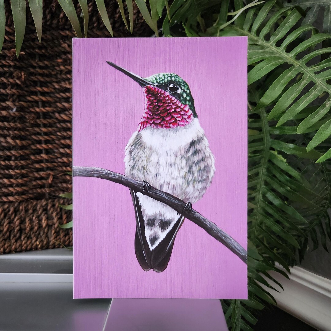 Broad Tailed Hummingbird - Fine Art Print - 4" X 6" - by Kilgore - Etsy