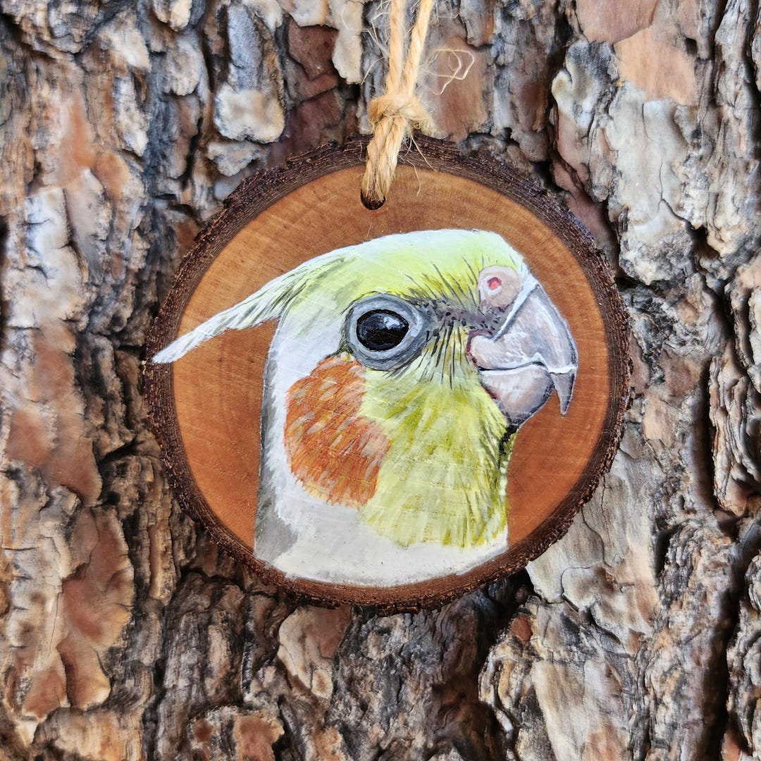 Cockatiel - Pear Wood Slice, Hand Painted Parrot on Wood, Parakeet ...