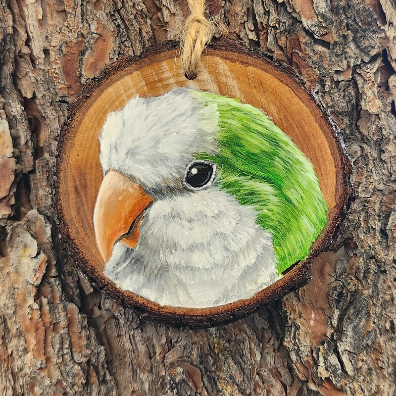 Hand Painted Parrot - Etsy