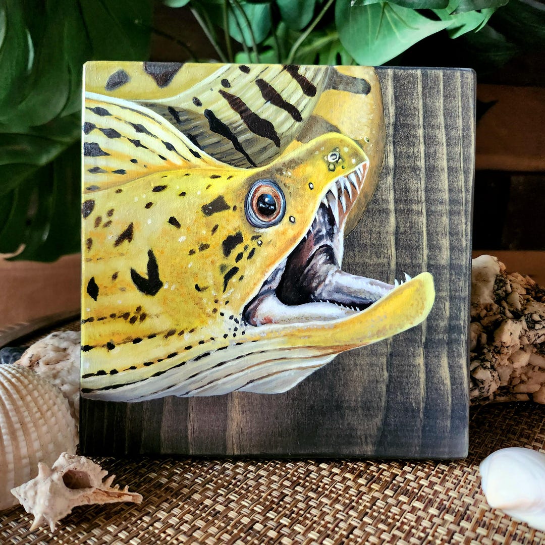Eel - Oil Painting on Wood, Ocean Wall Art, Beach Decor - Etsy