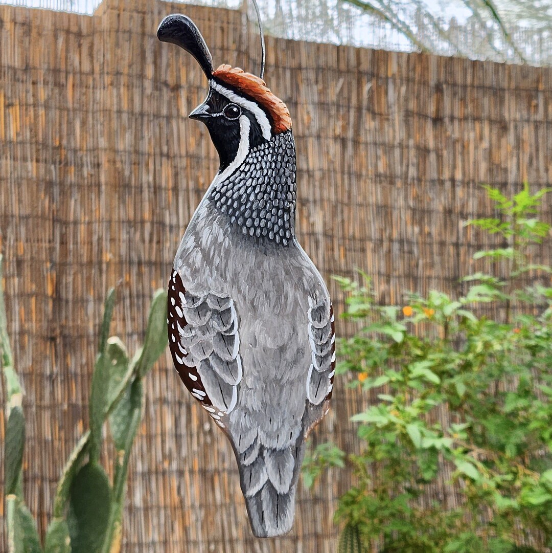 Gambel's Quail Wooden Wall Art, Handmade, Painted Quail on Wood - Etsy
