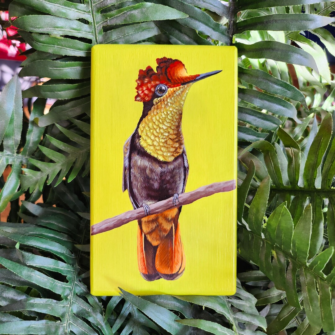 Ruby Topaz Hummingbird - Original Acrylic Painting on Bamboo - by ...