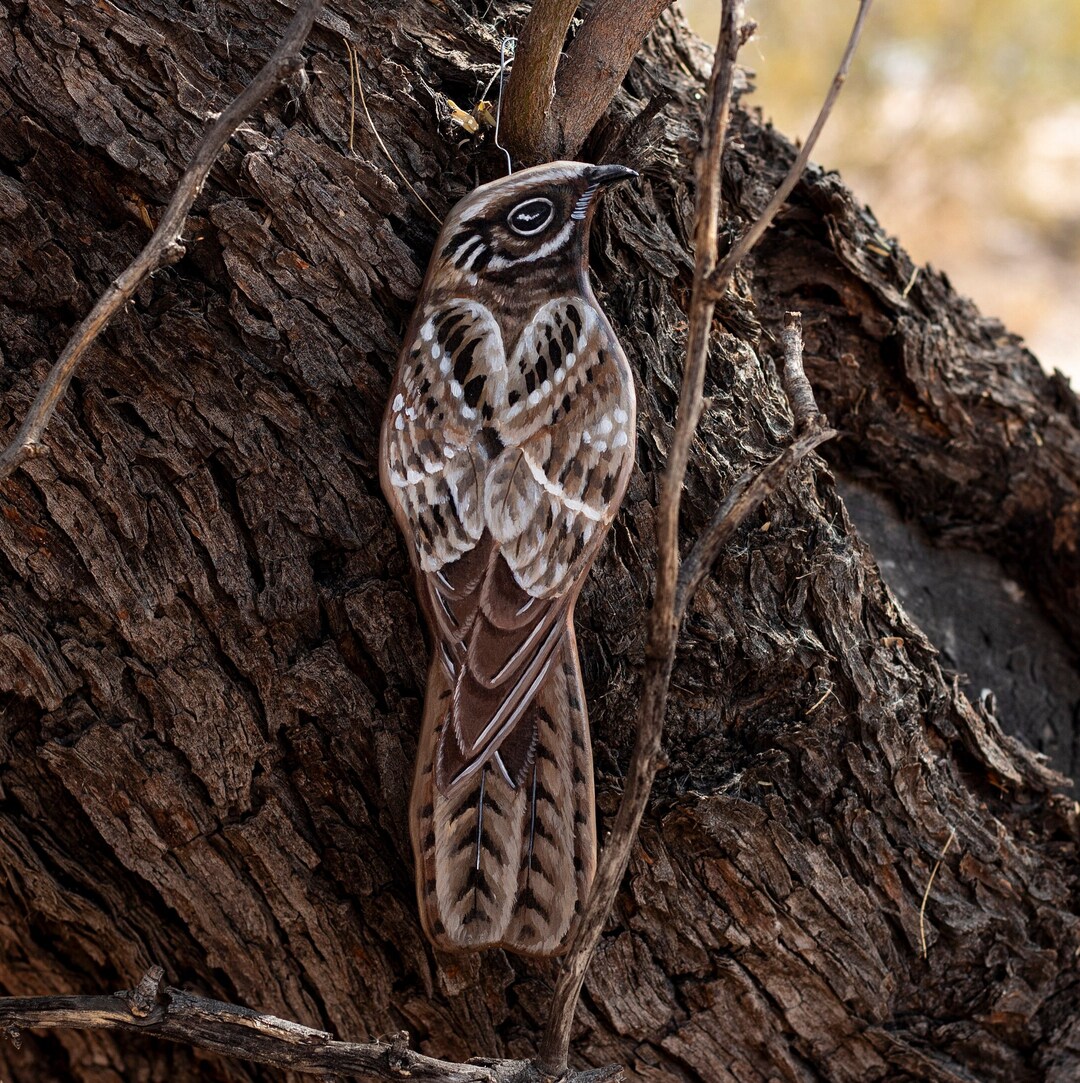 Large Tailed Nightjar Wooden Wall Art, Handmade, Painted Bird on Wood ...