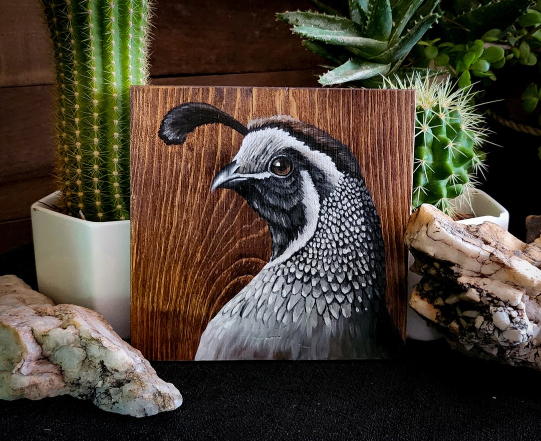California Quail Oil Painting on Reclaimed Wood, Sonoran Desert Wall ...