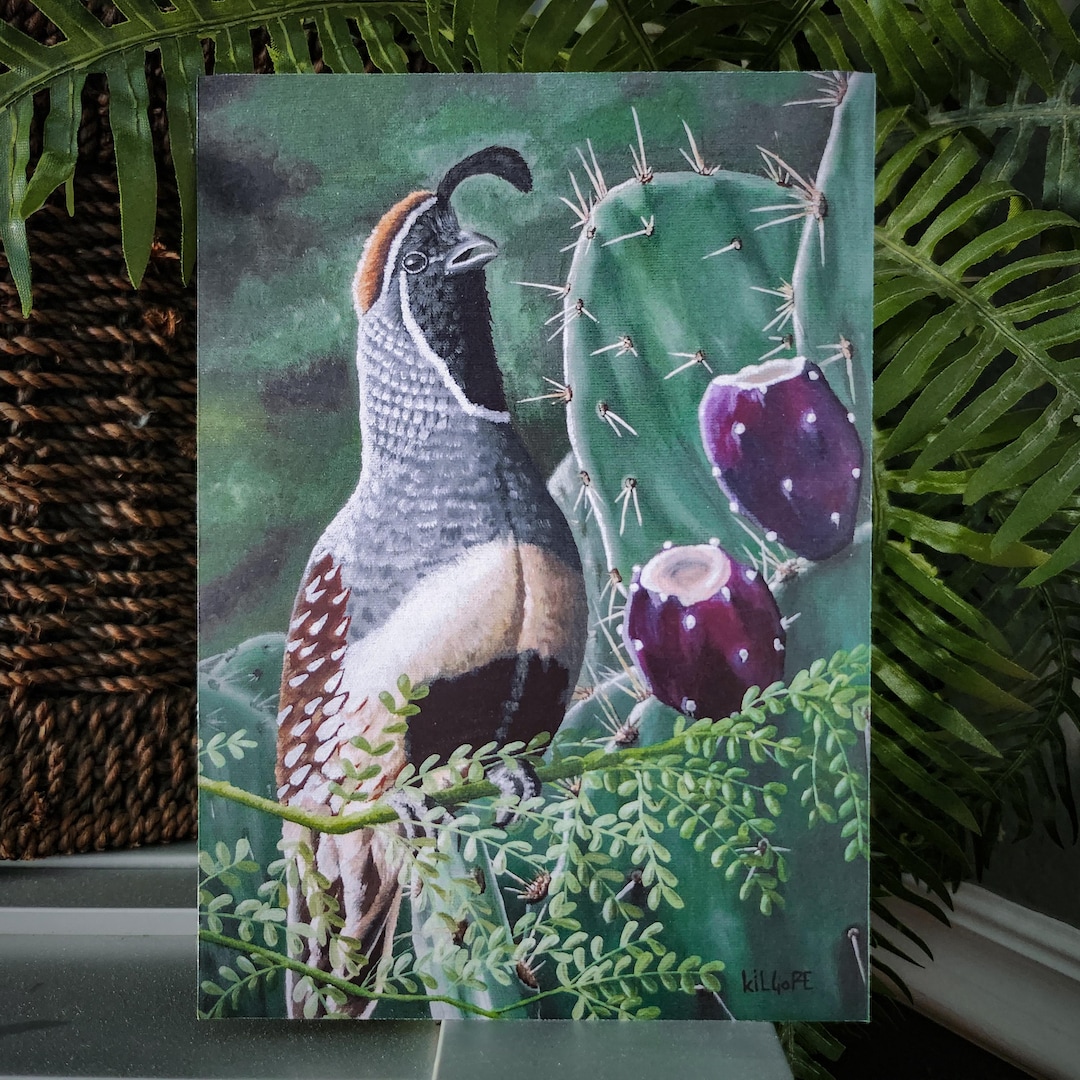 Gambel's Quail on Prickly Pear Cactus - Fine Art Print - 5" X 7" - Etsy
