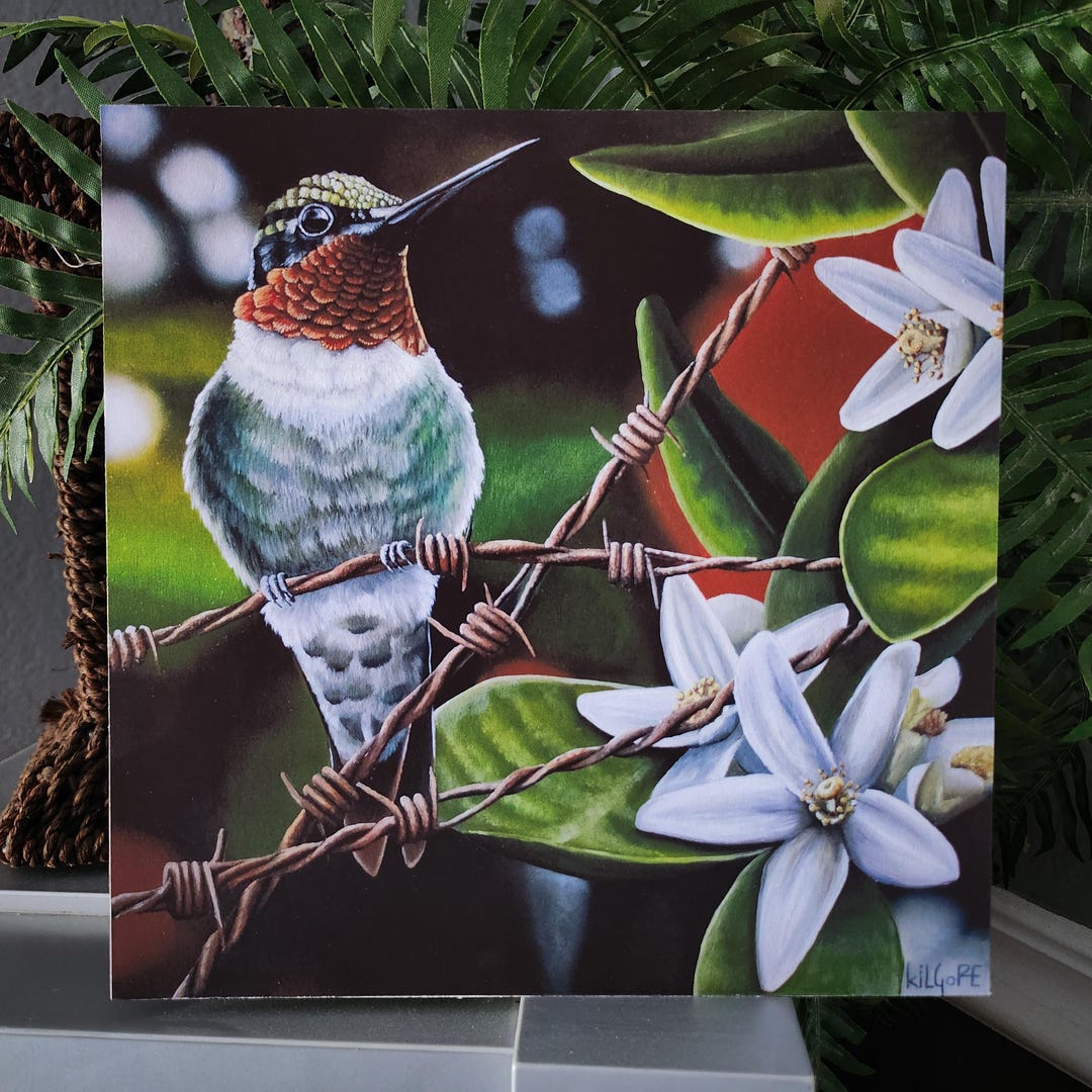 Ruby Throated Hummingbird - Fine Art Print - by Kilgore, Hummingbird ...
