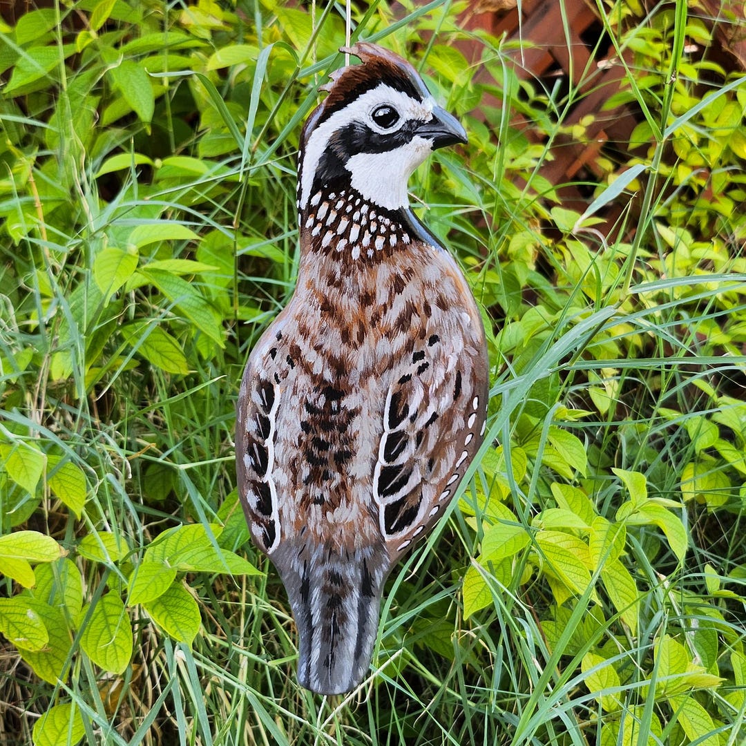 Bobwhite Quail - Wooden Wall Art, Handmade, Painted Quail on Wood - Etsy