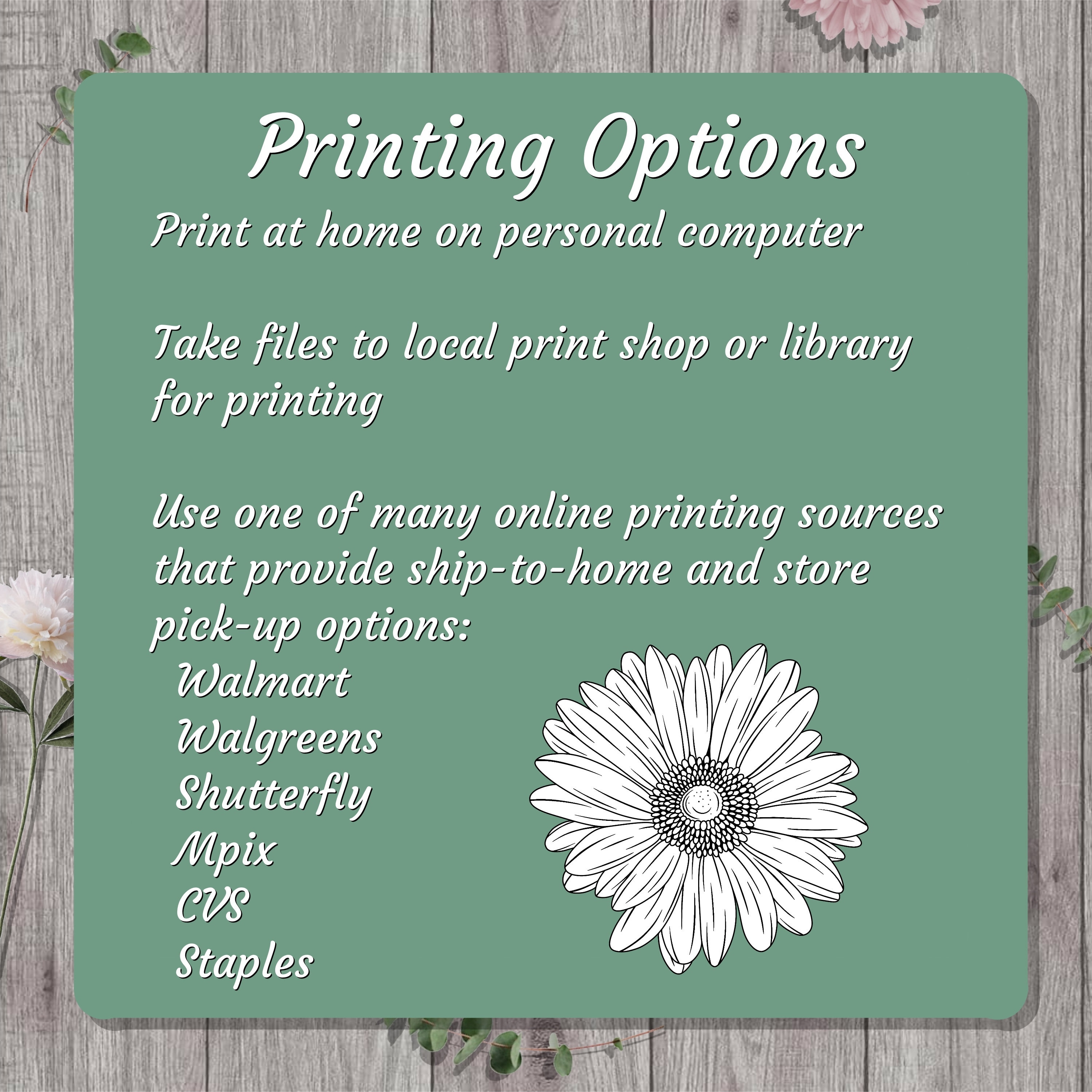 DIGITAL FILE: Aesthetic Watercolor Fiddle Leaf Fig Plant Drawings ...