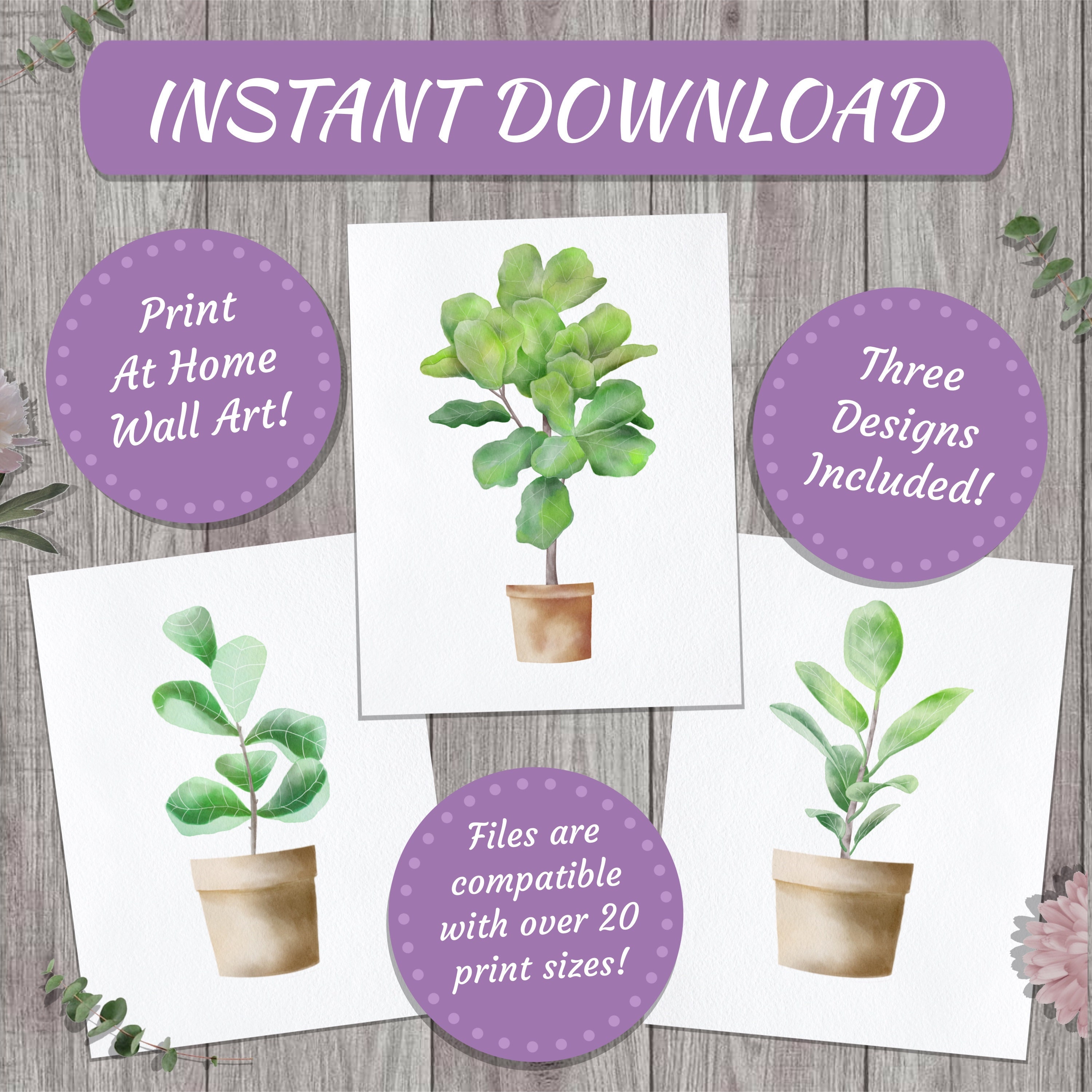 DIGITAL FILE: Aesthetic Watercolor Fiddle Leaf Fig Plant Drawings ...