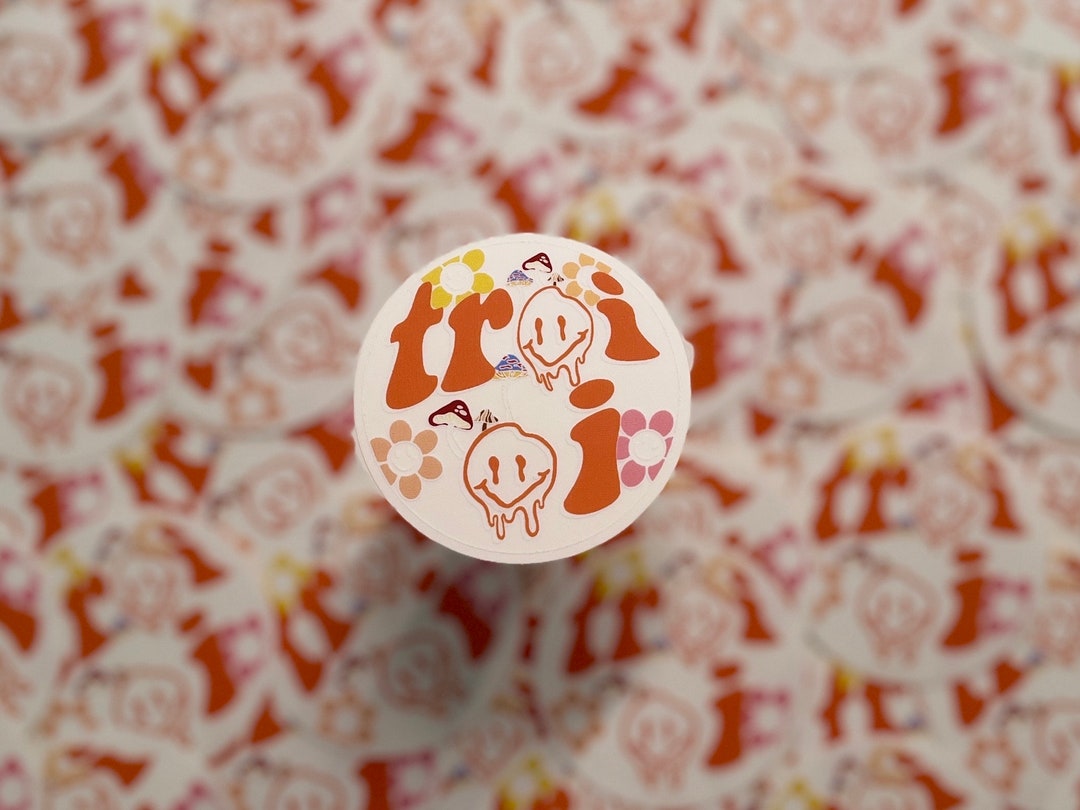 Funny Vietnamese Stickers / AAPI Stickers / Holographic “chết Cha ...