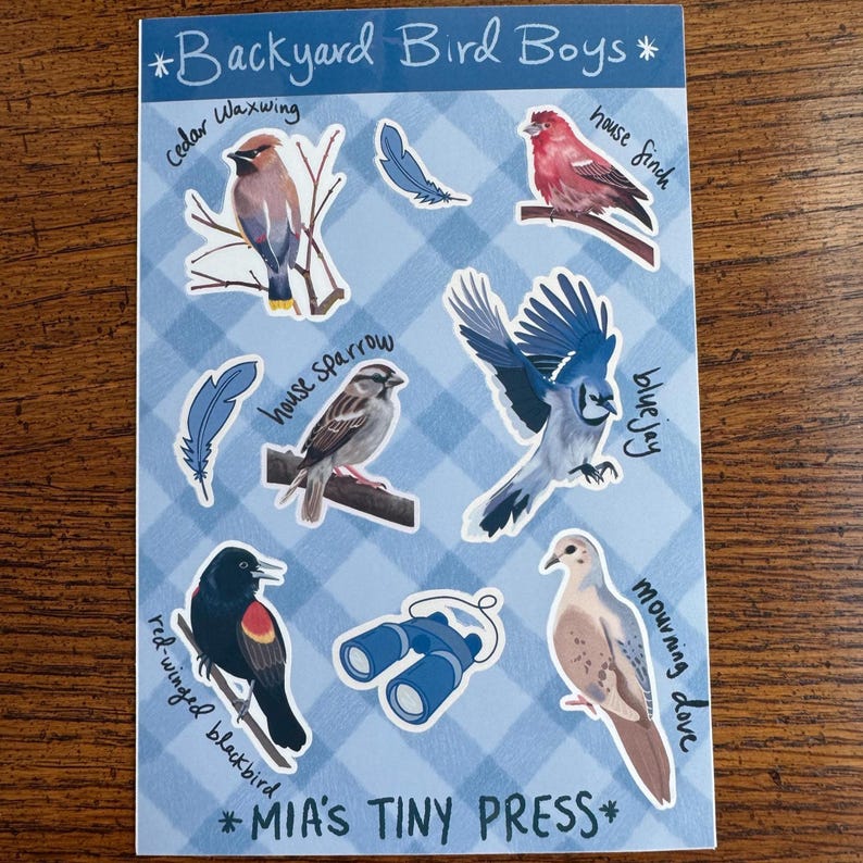 Artsy Bird Decals | A6 Backyard Bird Boys Glossy Vinyl Sticker Sheet - Etsy