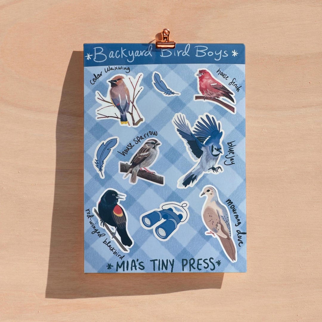 Artsy Bird Decals | A6 Backyard Bird Boys Glossy Vinyl Sticker Sheet - Etsy