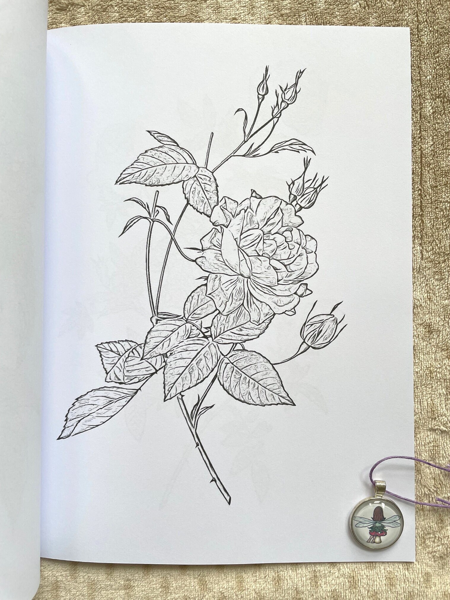 Vintage Roses Colouring Book for Adults Redoute's Roses Colouring Book ...