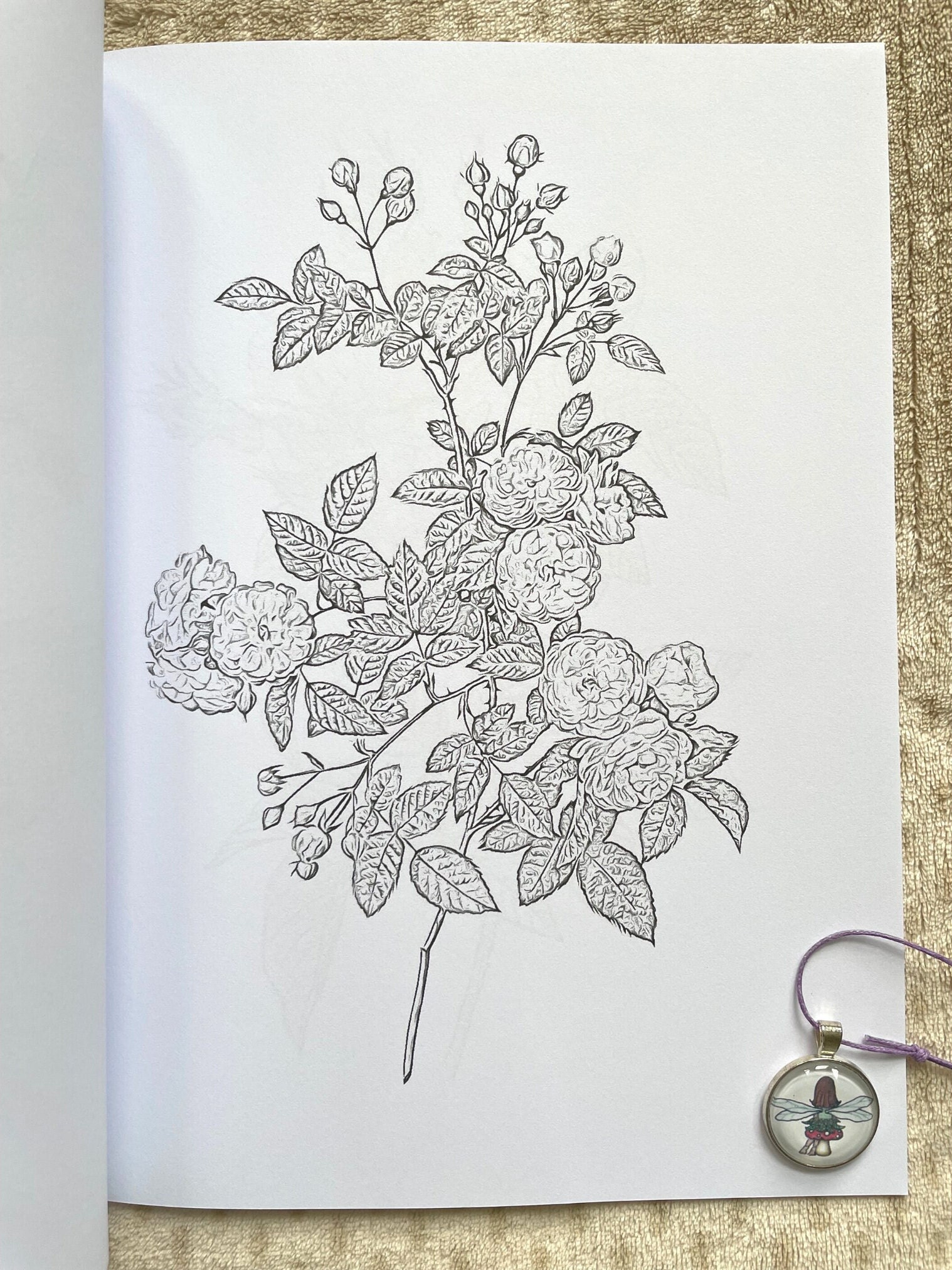 Vintage Roses Colouring Book for Adults Redoute's Roses Colouring Book ...