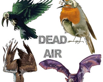 Osprey Skeleton - Etsy