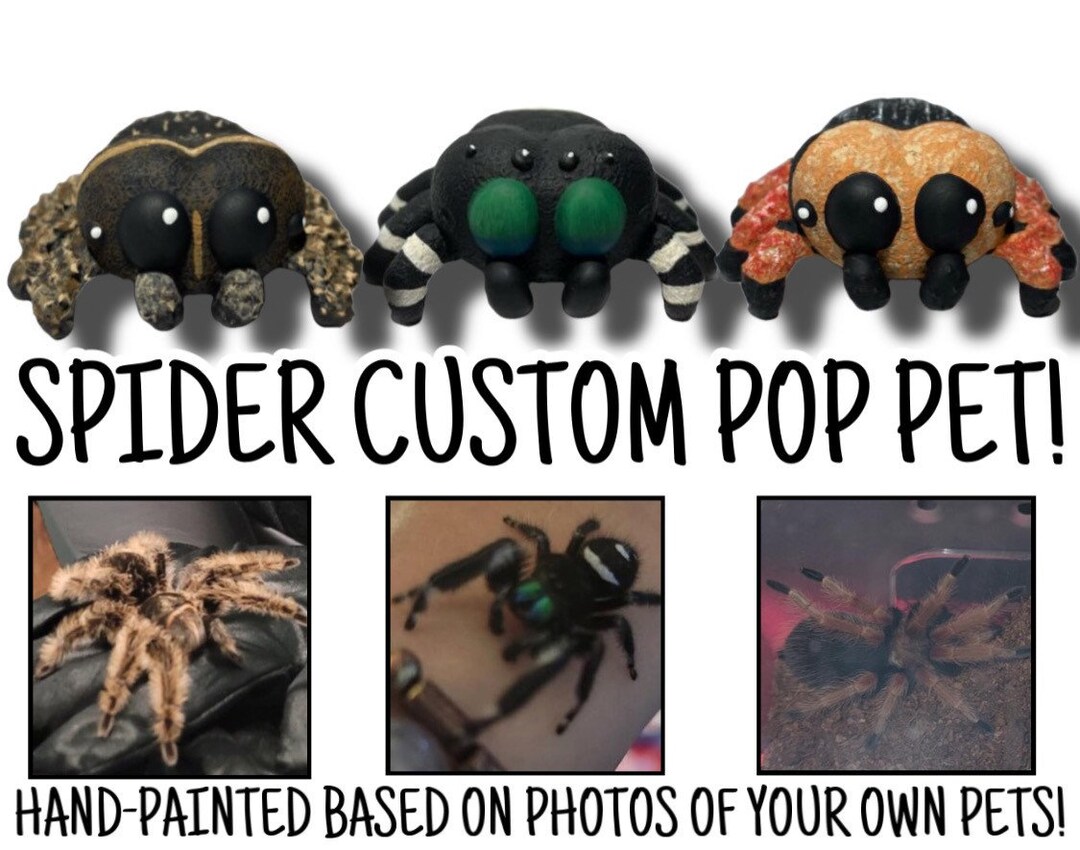 Spider, Tarantula, Tarantula Art, Spider Art, Spider Lovers, Arachnid ...