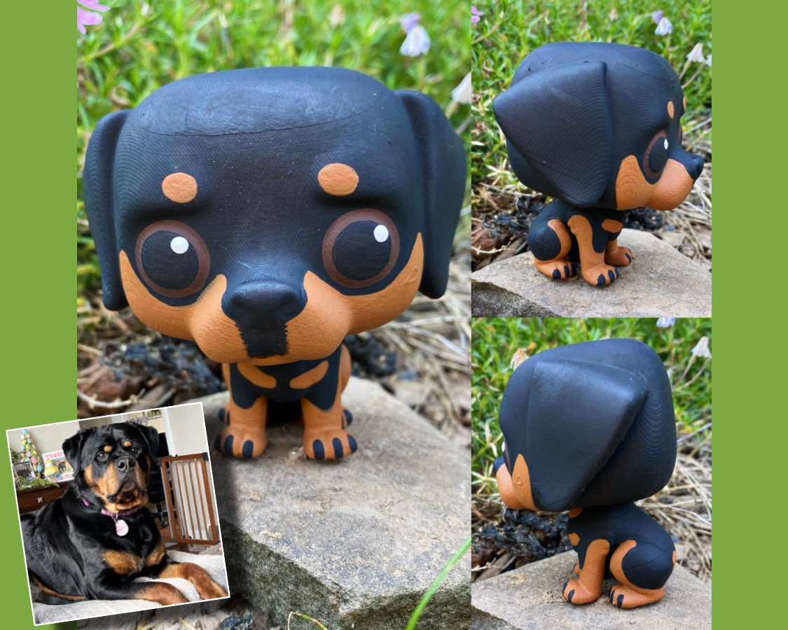 Toy Rottweiler Full Grown