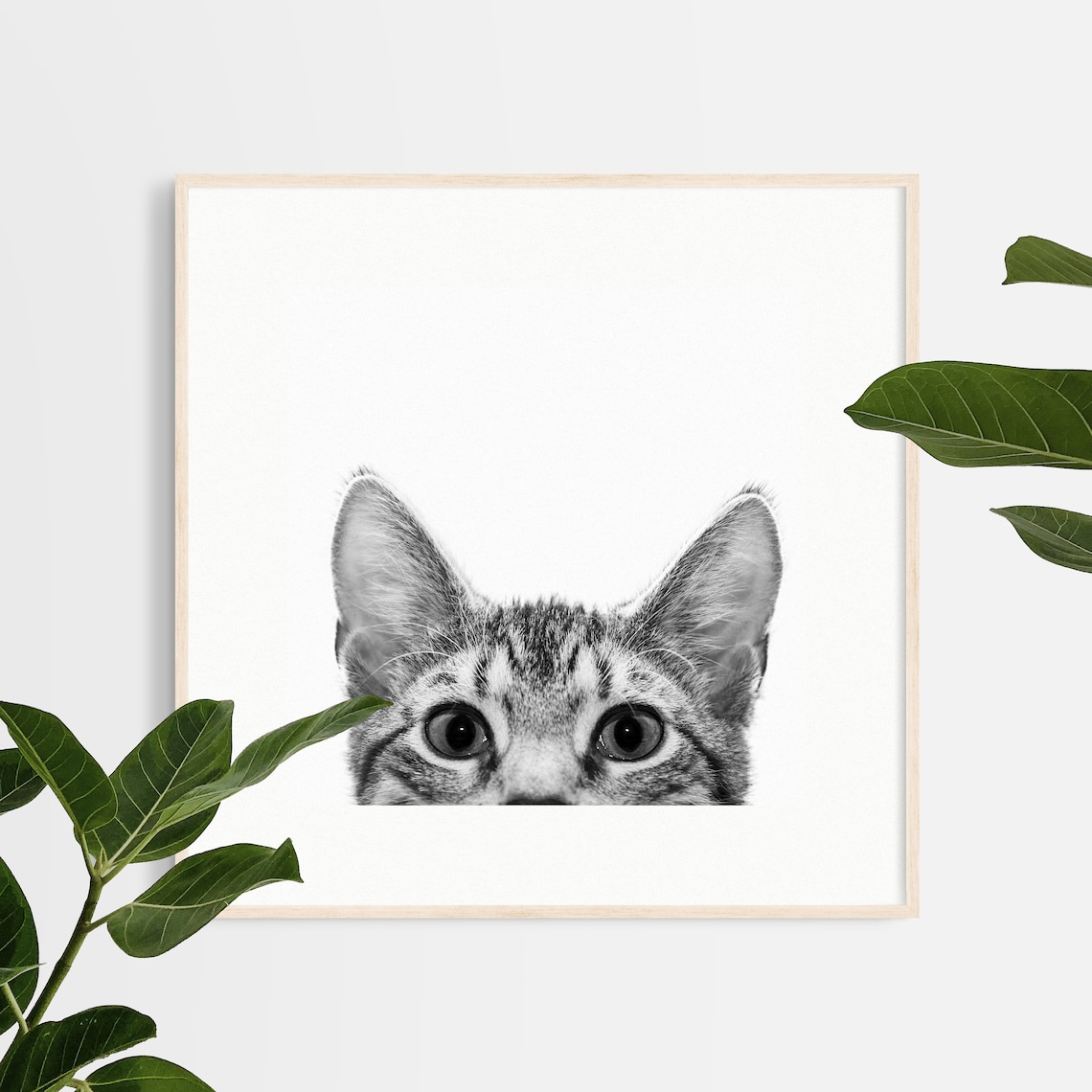 Printable Cat Wall Art Peeking Cat Art Print Funny Cat | Etsy UK