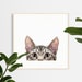 Printable Cat Wall Art Peeking Cat Art Print Funny Cat Wall Art Nursery ...