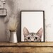 Printable Cat Wall Art Peeking Cat Art Print Funny Cat Wall Art Nursery ...