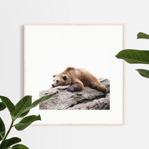 Bear Printable Wall Art Nursery Art Print Bear Art Print Animal Wall ...