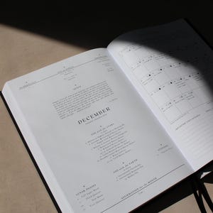 2025 the Astral Planner™, Daily Astrology Planner, Moon Phase Planner ...