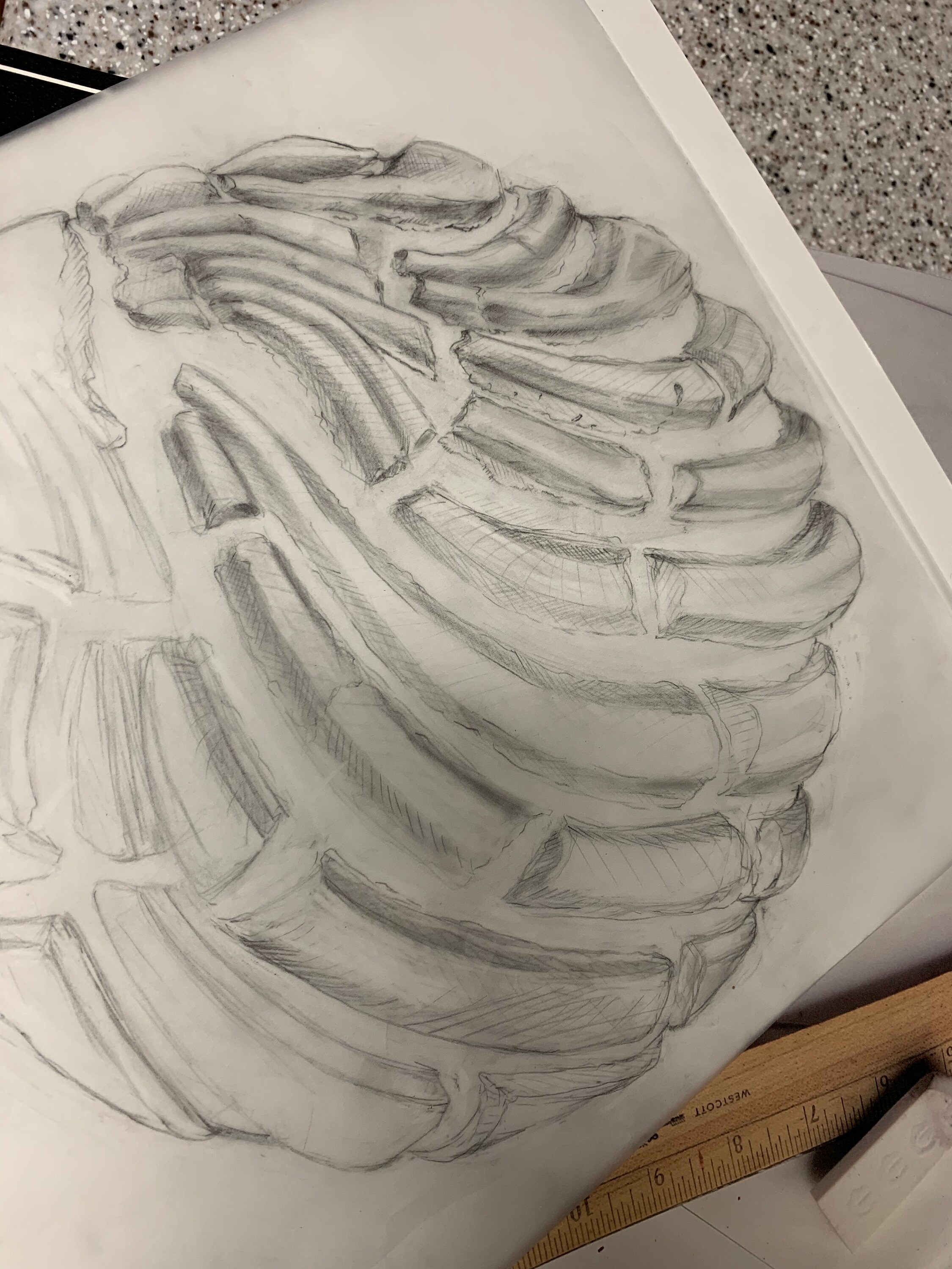 Concha Acrylic Paintings on Custom Cut Wood Panel, Pan Dulce (original ...