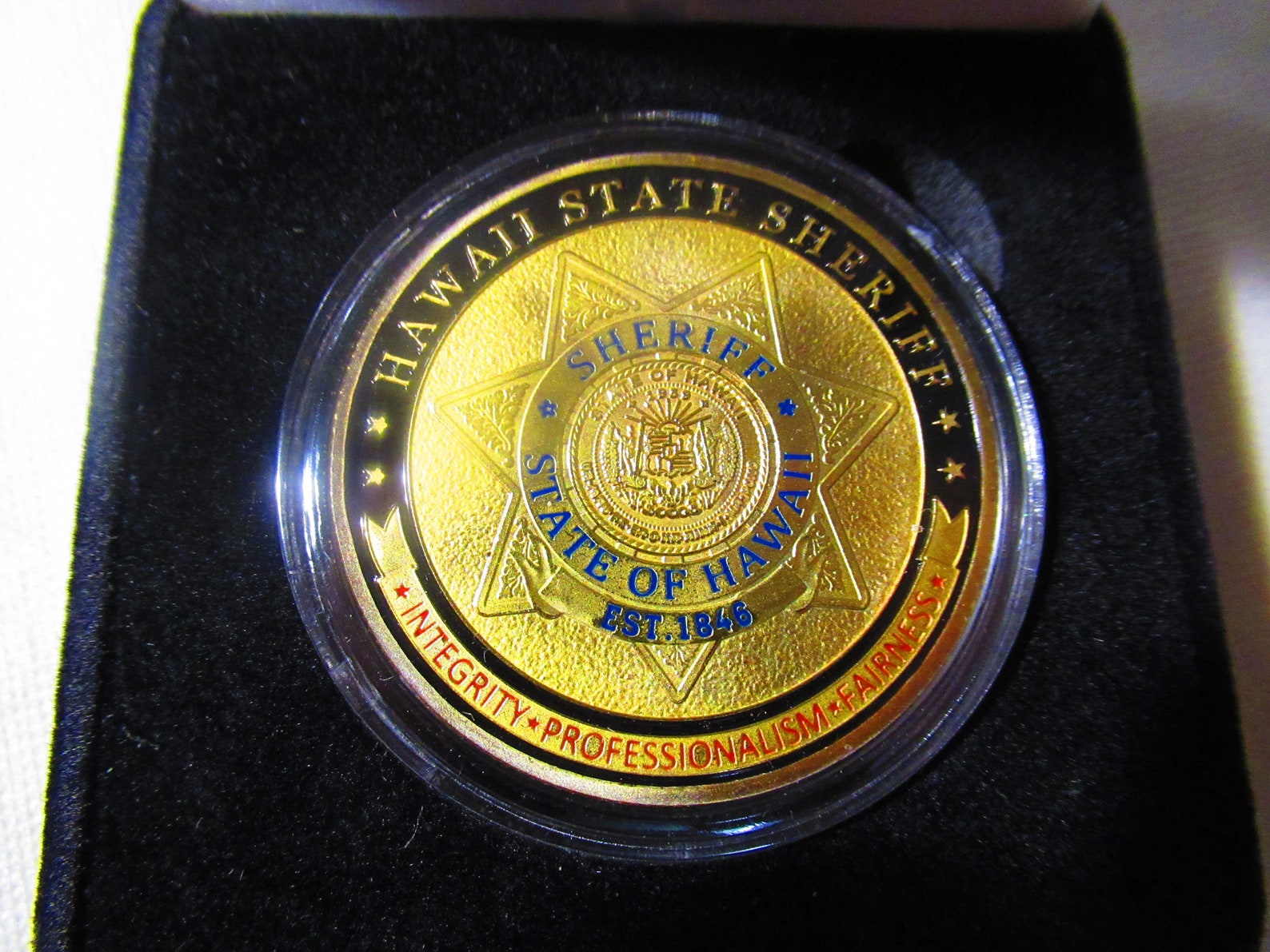 HAWAII STATE SHERIFF Challenge Coin - Etsy