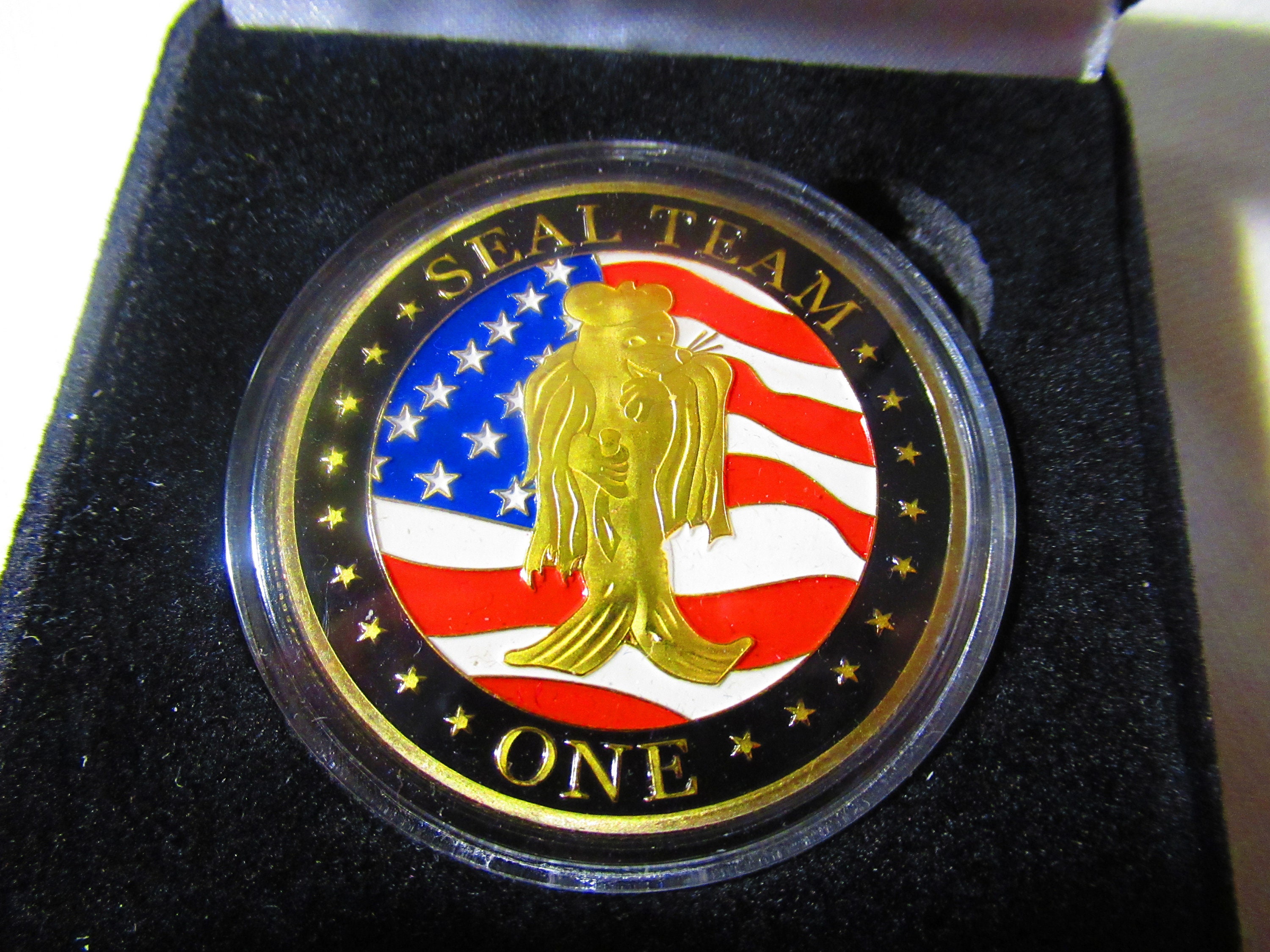 U S Navy SEAL TEAM ONE Challenge Coin - Etsy