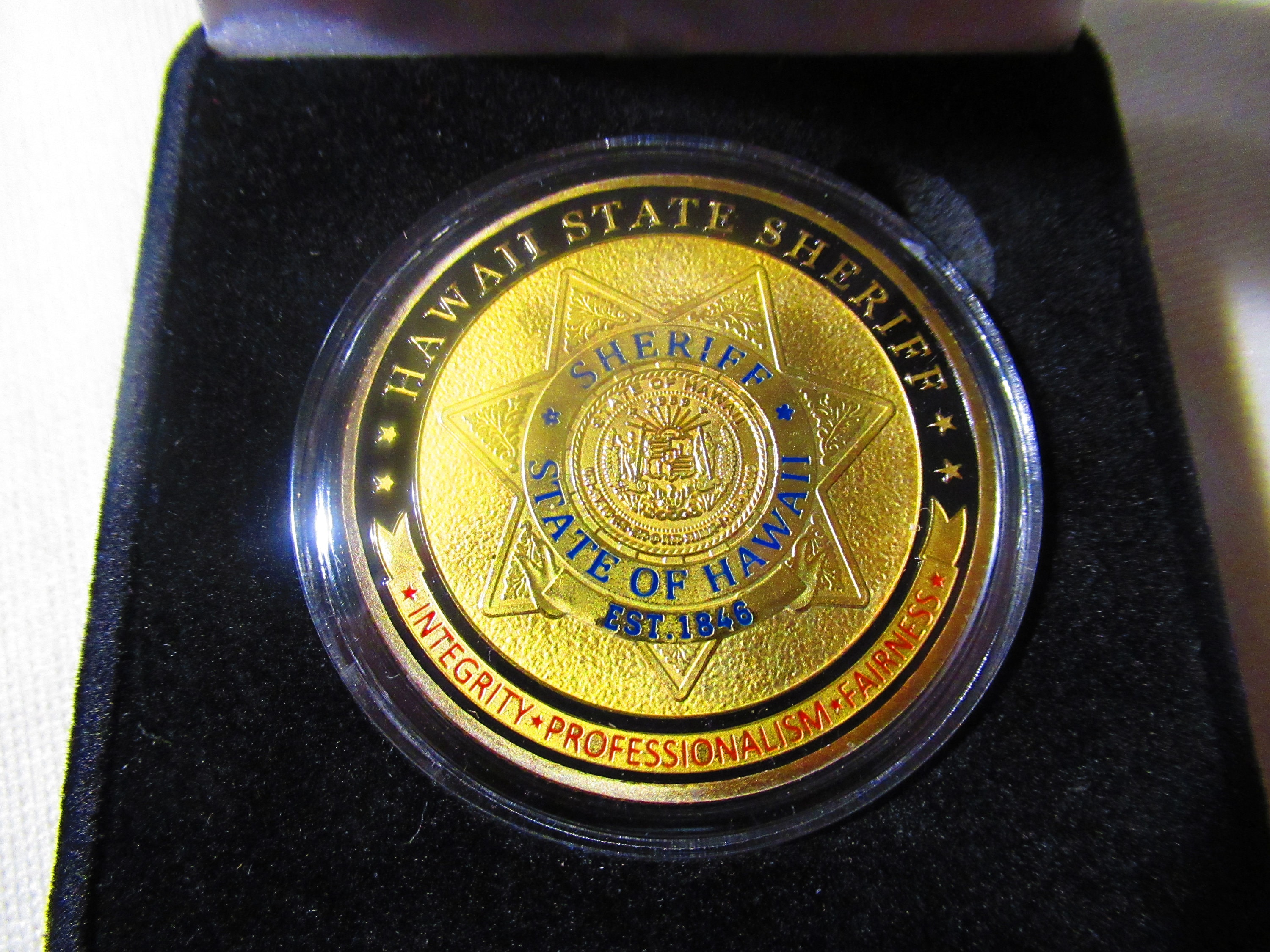 HAWAII STATE SHERIFF Challenge Coin | Etsy