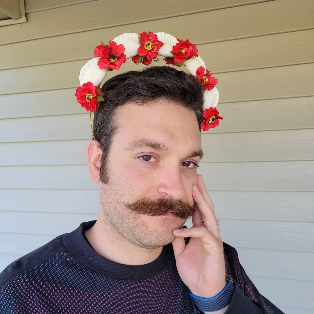 Pierogi Halo Crown With Poppies and Pussy Willow Dyngus Day Floral ...