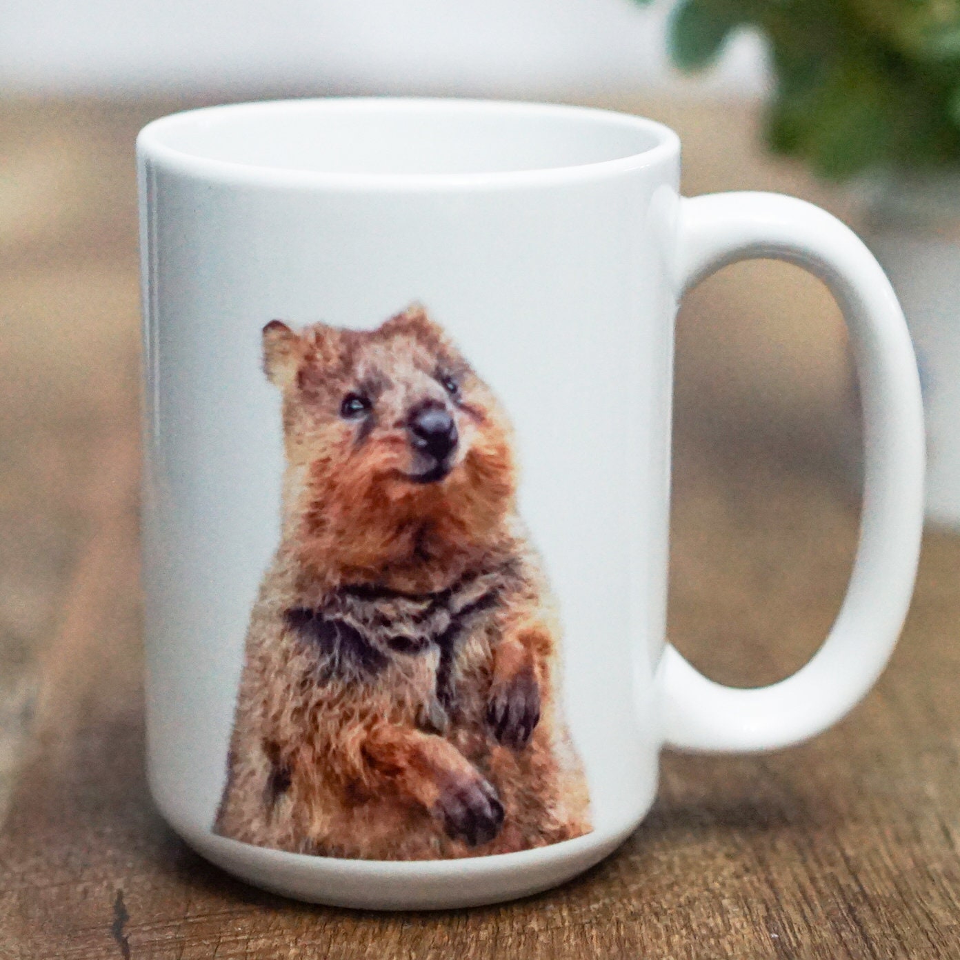 Quokka Mug, Cute Animal Mug, Funny Coffee Mug, Quokka (cousin of ...