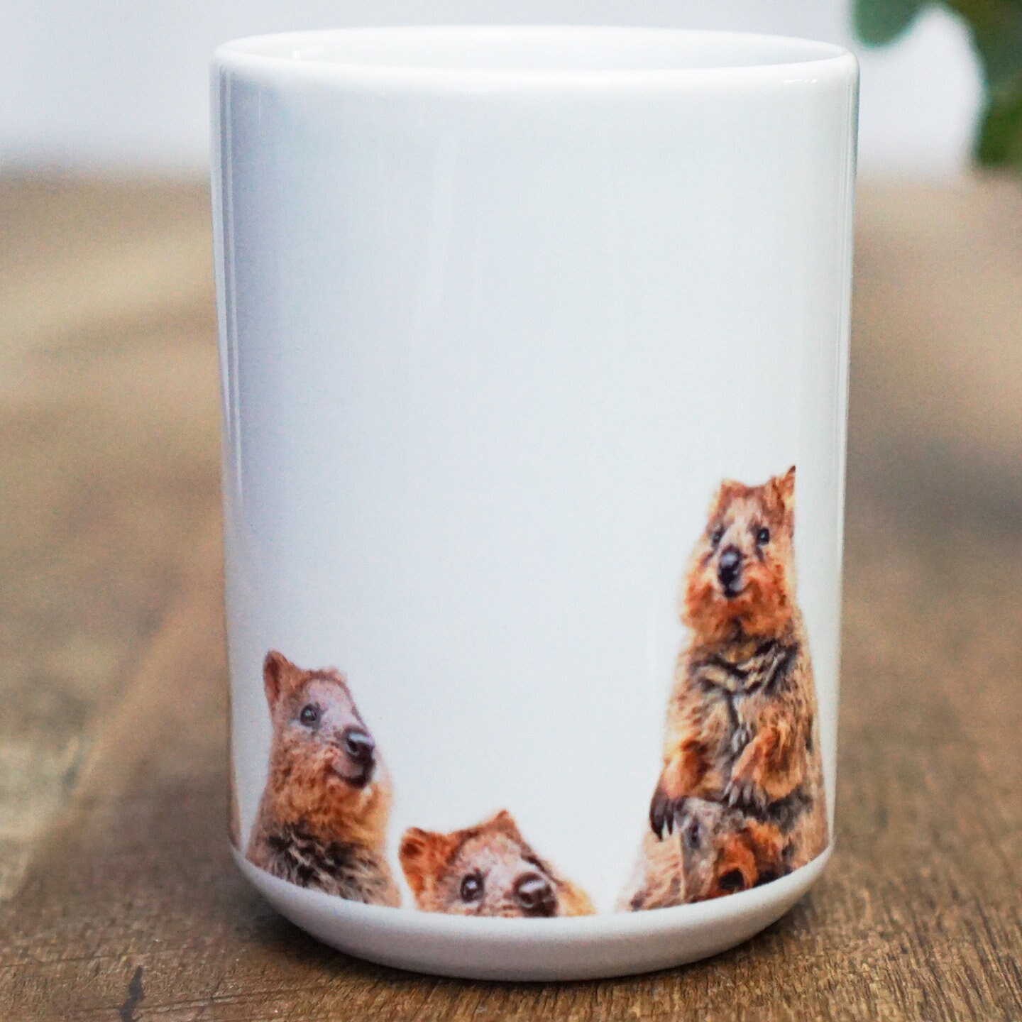 Quokka Mug, Cute Animal Mug, Funny Coffee Mug, Fluffy Quokka (cousin of ...