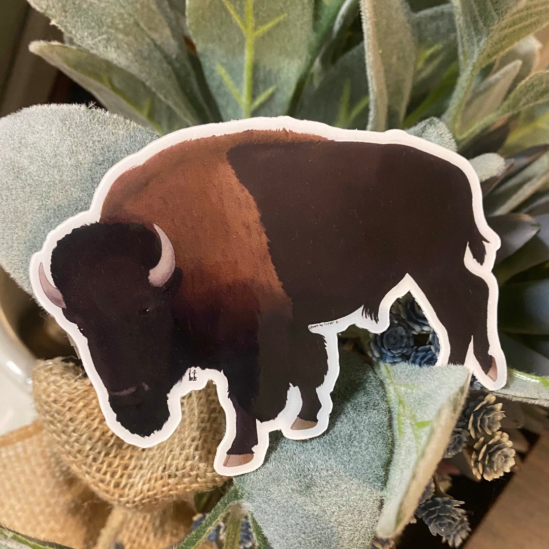 Buffalo Sticker // Bison Sticker // Thunder the Buffalo // Thunder XII ...