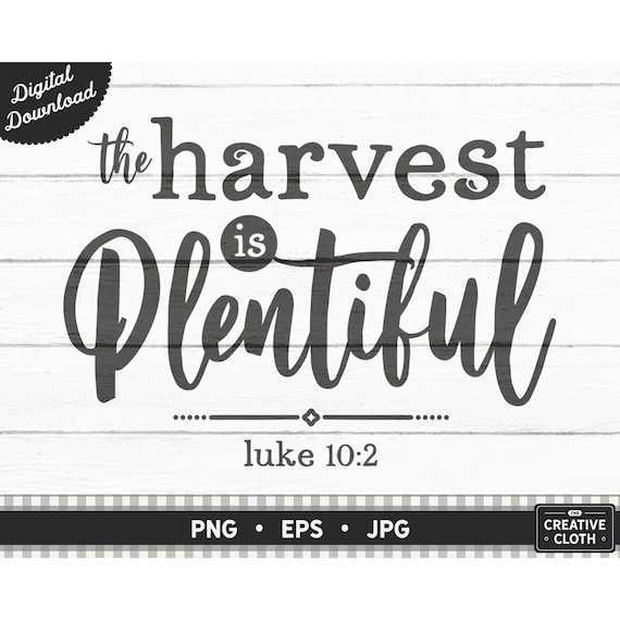 The Harvest Is White In The Bible