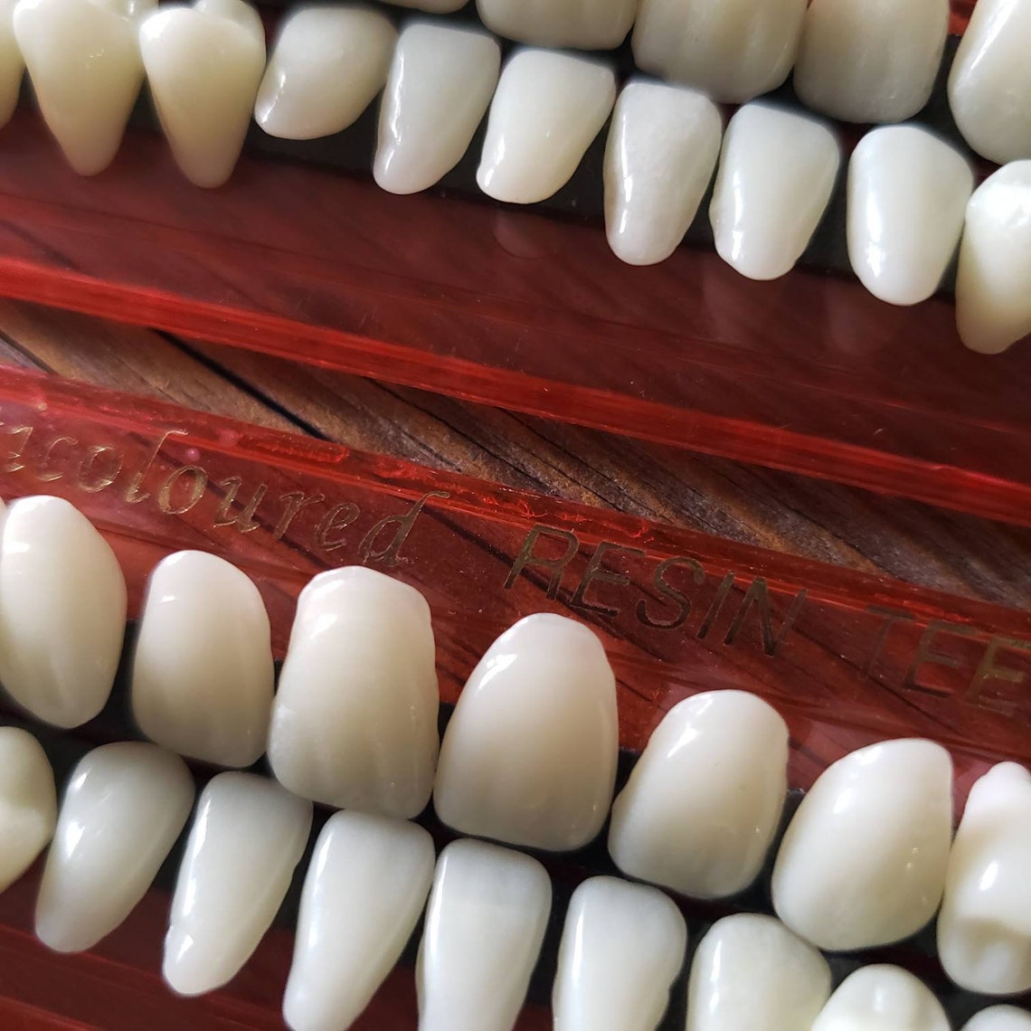 Set of Human Resin Teeth Craft Teeth Doll Teeth Creepy | Etsy