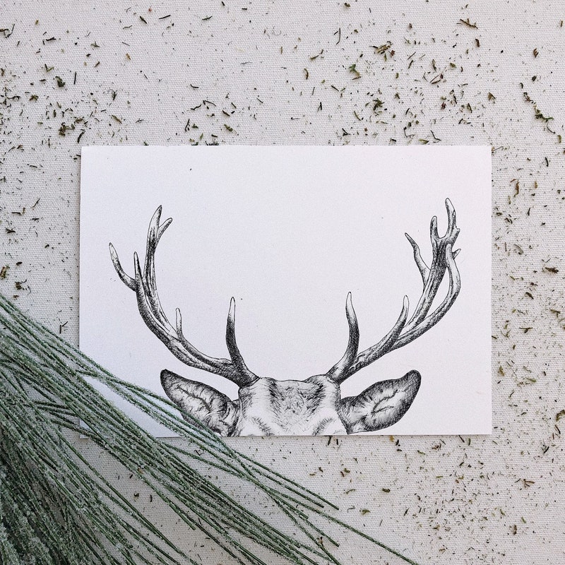 Pen and Ink Deer Art - Etsy