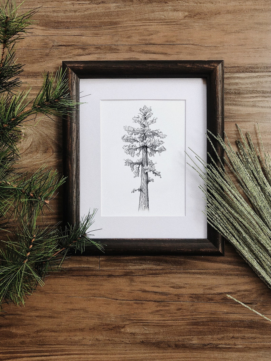 White Pine Tree Print | Mailed Print Unframed | Vertical Handmade Ink ...