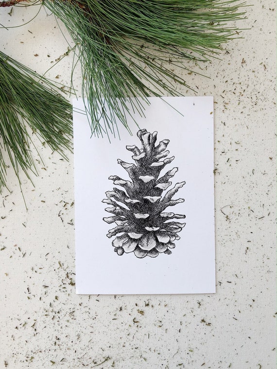 Pine Cone Ink Drawing I Haven't Been Painting Enough Lately, And