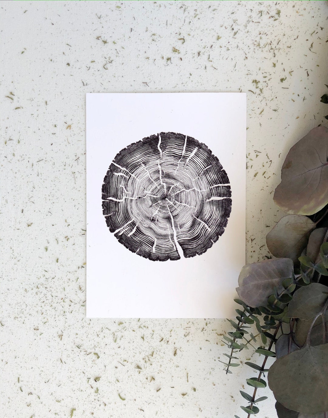 Hand-illustrated Tree Rings Print | Custom Personalization Options ...