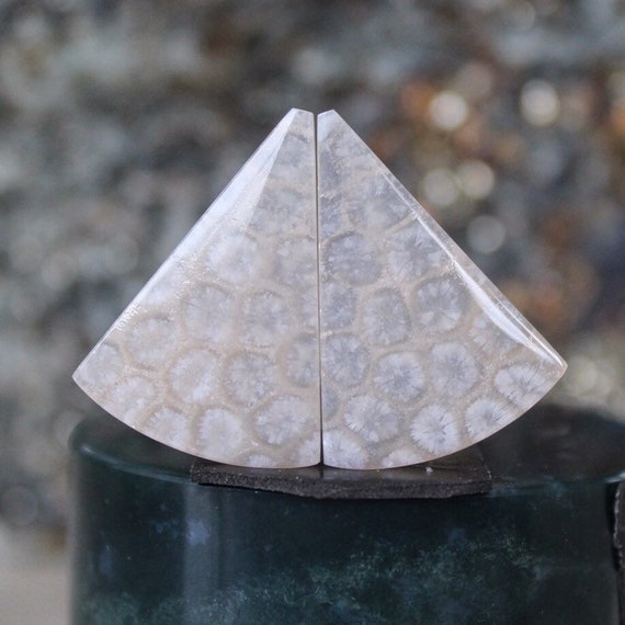 Fossil Coral Agate Pair - Etsy