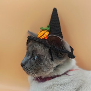WITCH HAT for Cat Crochet Pattern PDF - Instructions for Cat Witch Hat ...
